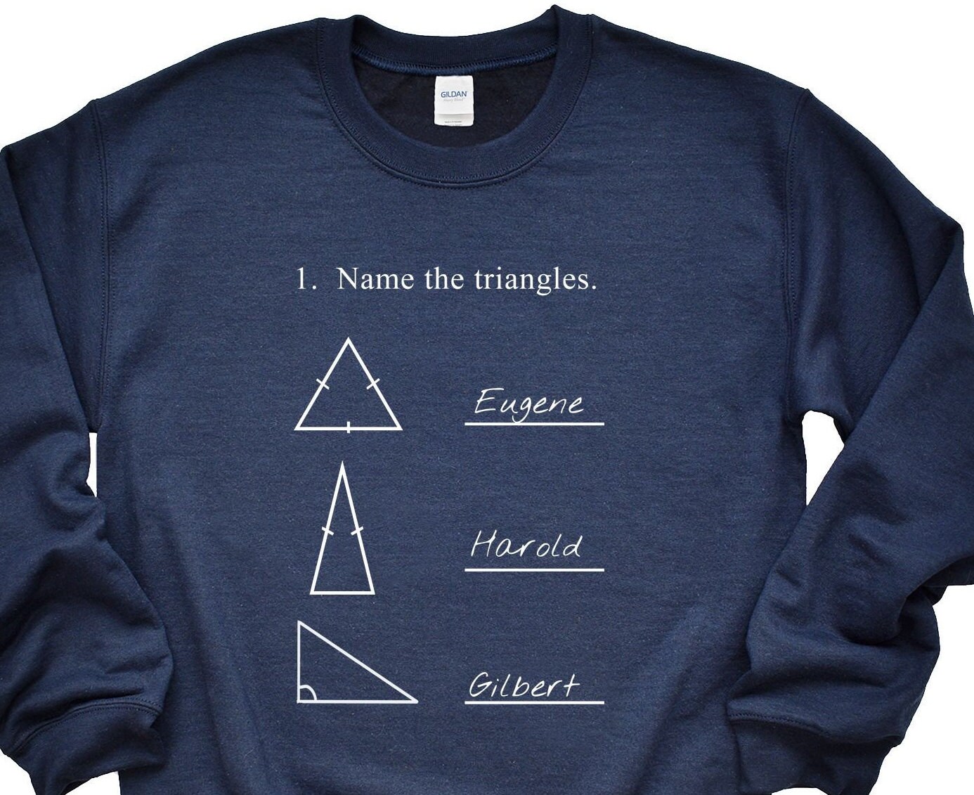 Funny Math Teacher Sweatshirt Name the Triangles Funny - Etsy