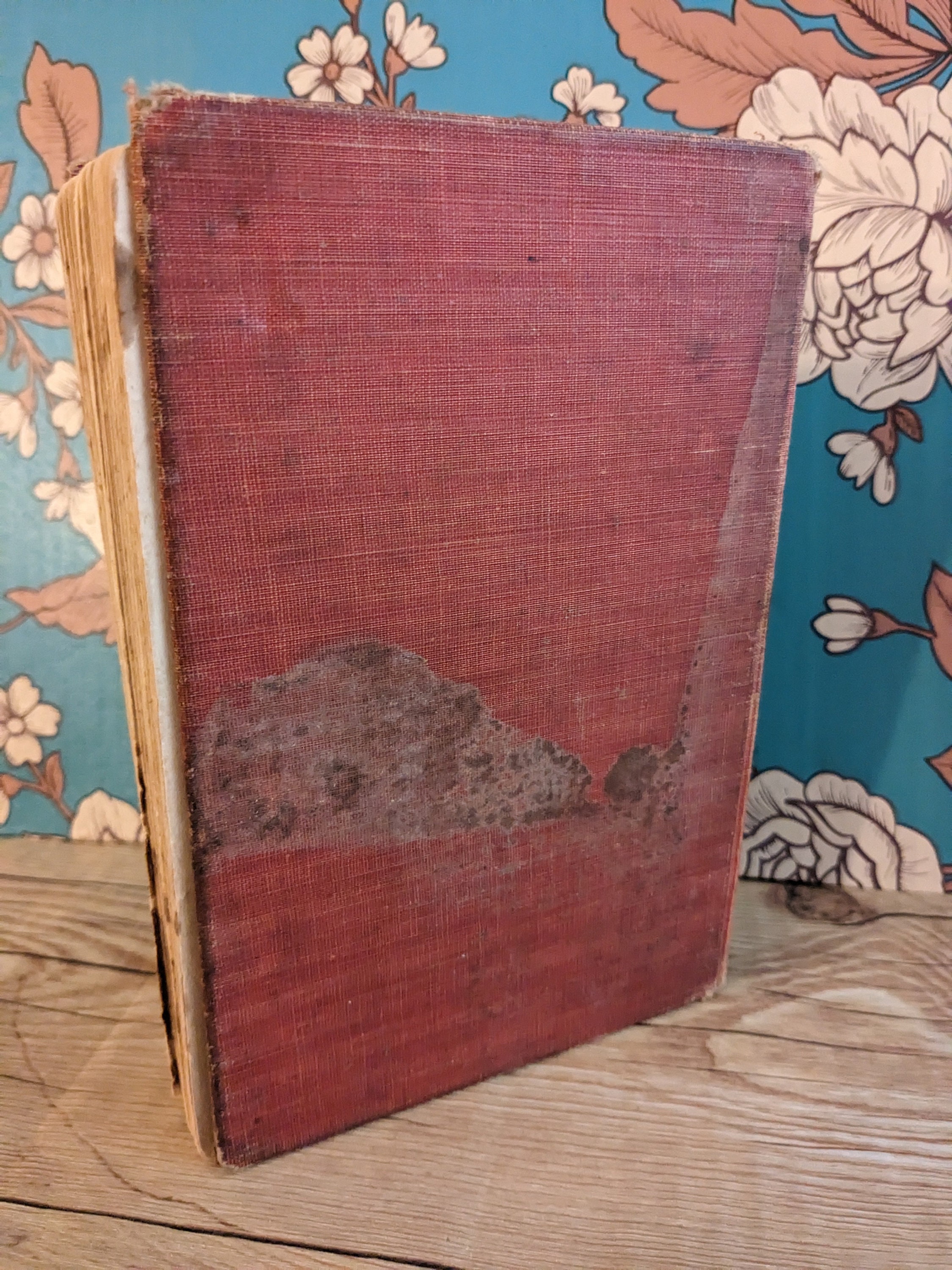 Antique THE SHEIK by E.M. (edith Maude) Hull - 1921 - Etsy