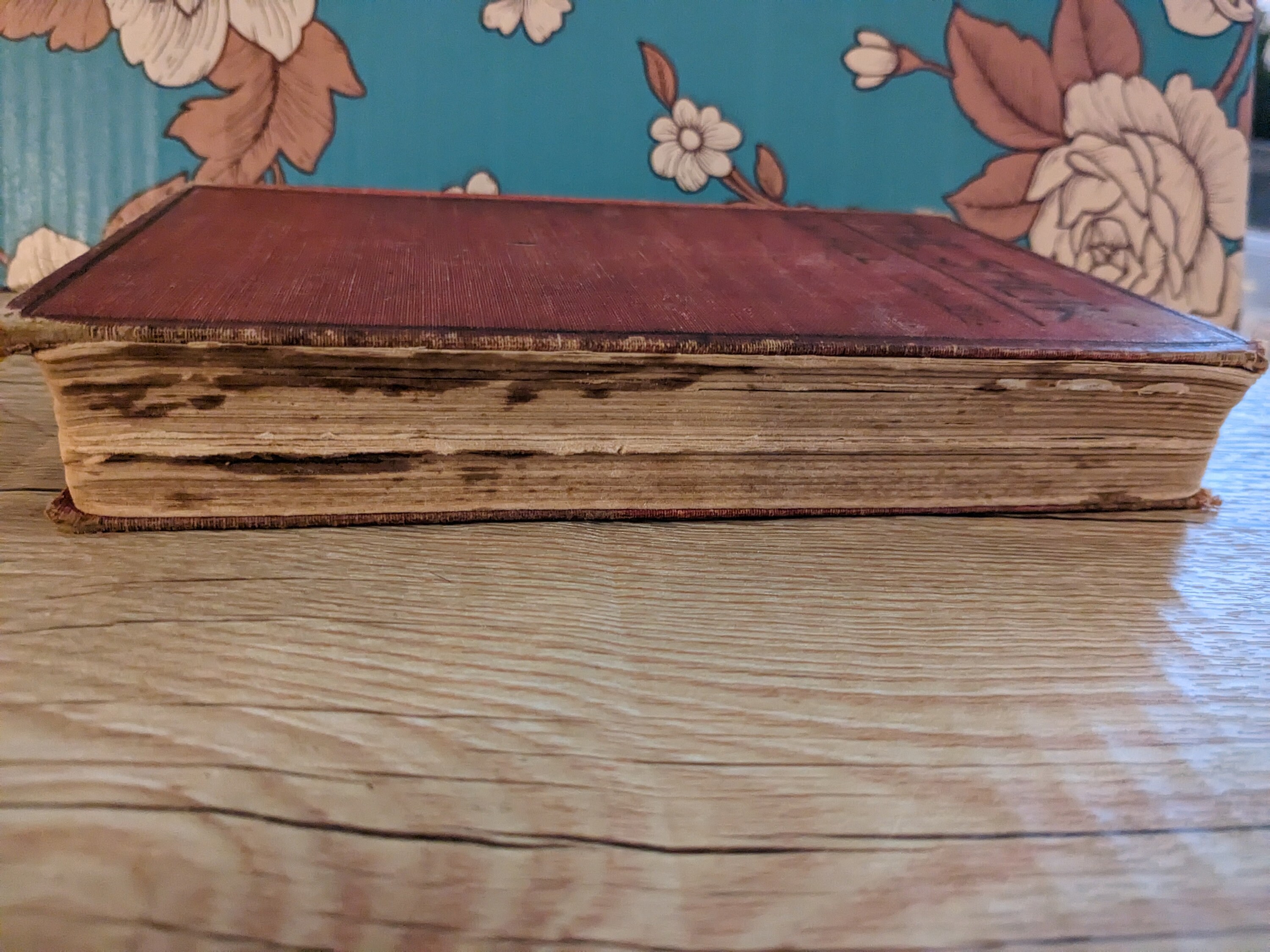 Antique THE SHEIK by E.M. (edith Maude) Hull - 1921 - Etsy