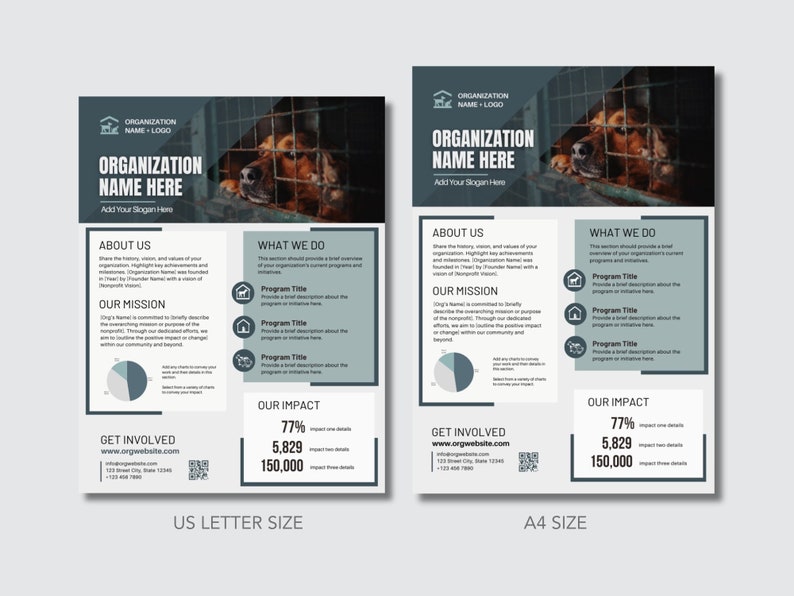 Nonprofit One Pager | Editable Organization Overview | Charity ...