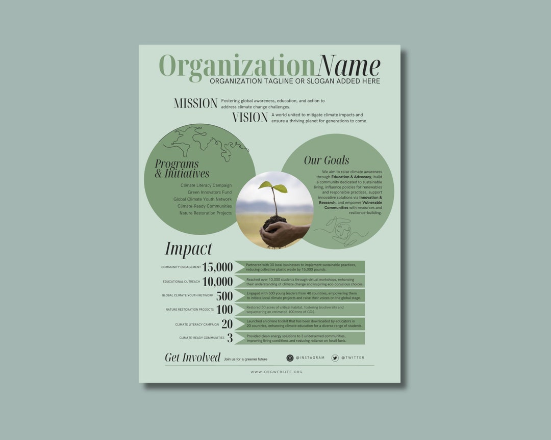 Customizable Nonprofit One Pager Template Canva Template - Etsy
