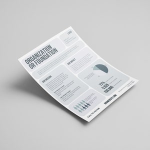 Nonprofit One Pager | Organization Overview Summary Page | Impact ...