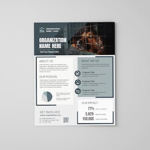Nonprofit One Pager | Editable Organization Overview | Charity ...