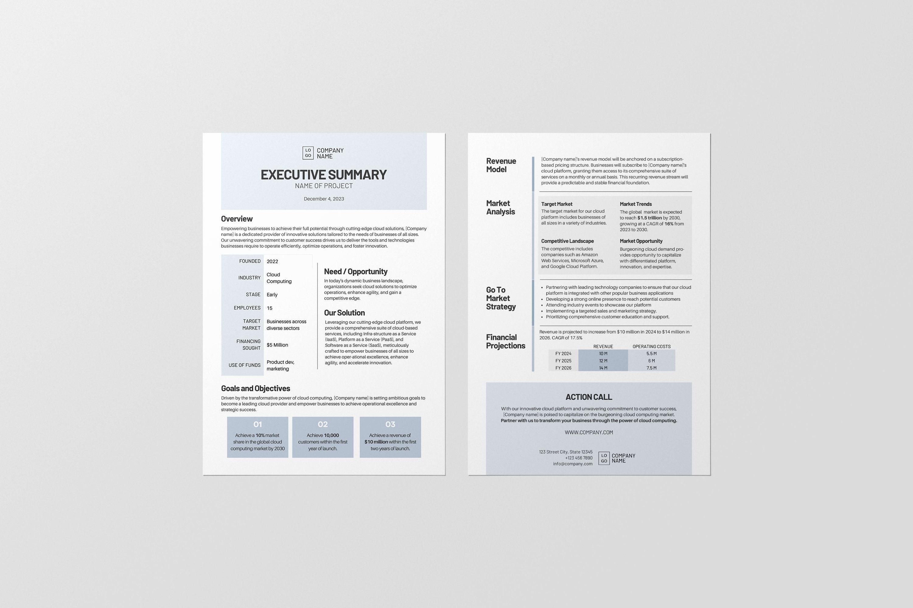 Executive Summary Template | Startup Executive Summary | Investor 