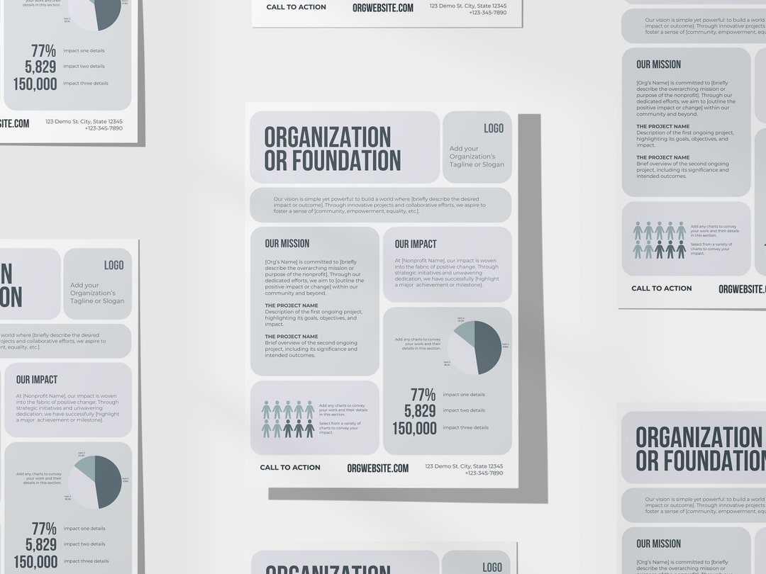 Nonprofit One Pager | Organization Overview Summary Page | Impact ...