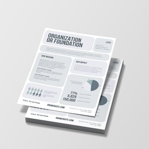 Nonprofit One Pager | Organization Overview Summary Page | Impact ...