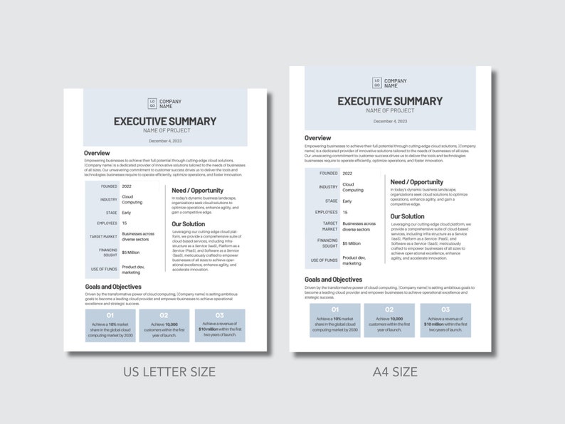 Executive Summary Template | Startup Executive Summary | Investor ...