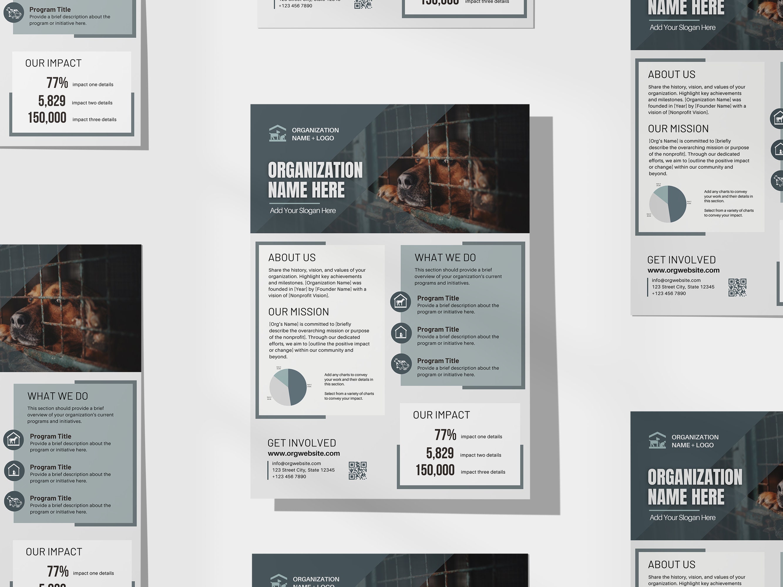 Nonprofit One Pager | Editable Organization Overview | Charity ...