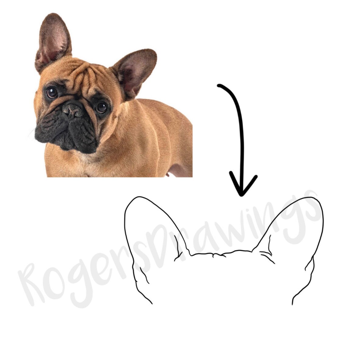 DIGITAL DOWNLOAD: French Bulldog, Dog Ear Drawing, Dog Ear Tattoo ...