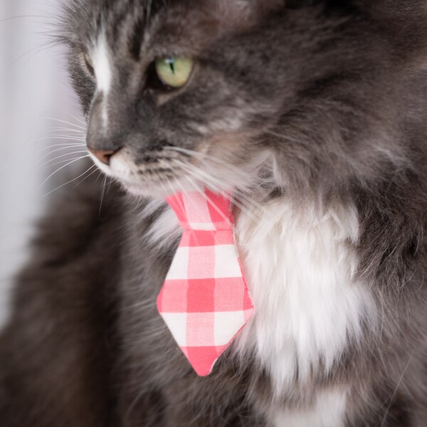 Seersucker Necktie - Etsy