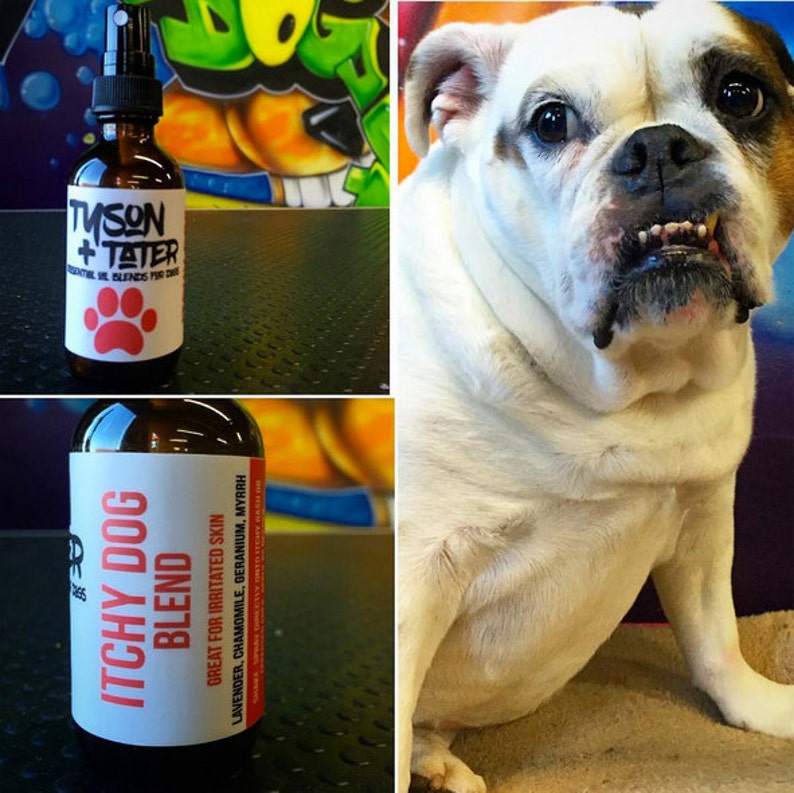 ITCHY DOG BLEND / Canine Seasonal Threats / Natural Pet Care / Calms ...