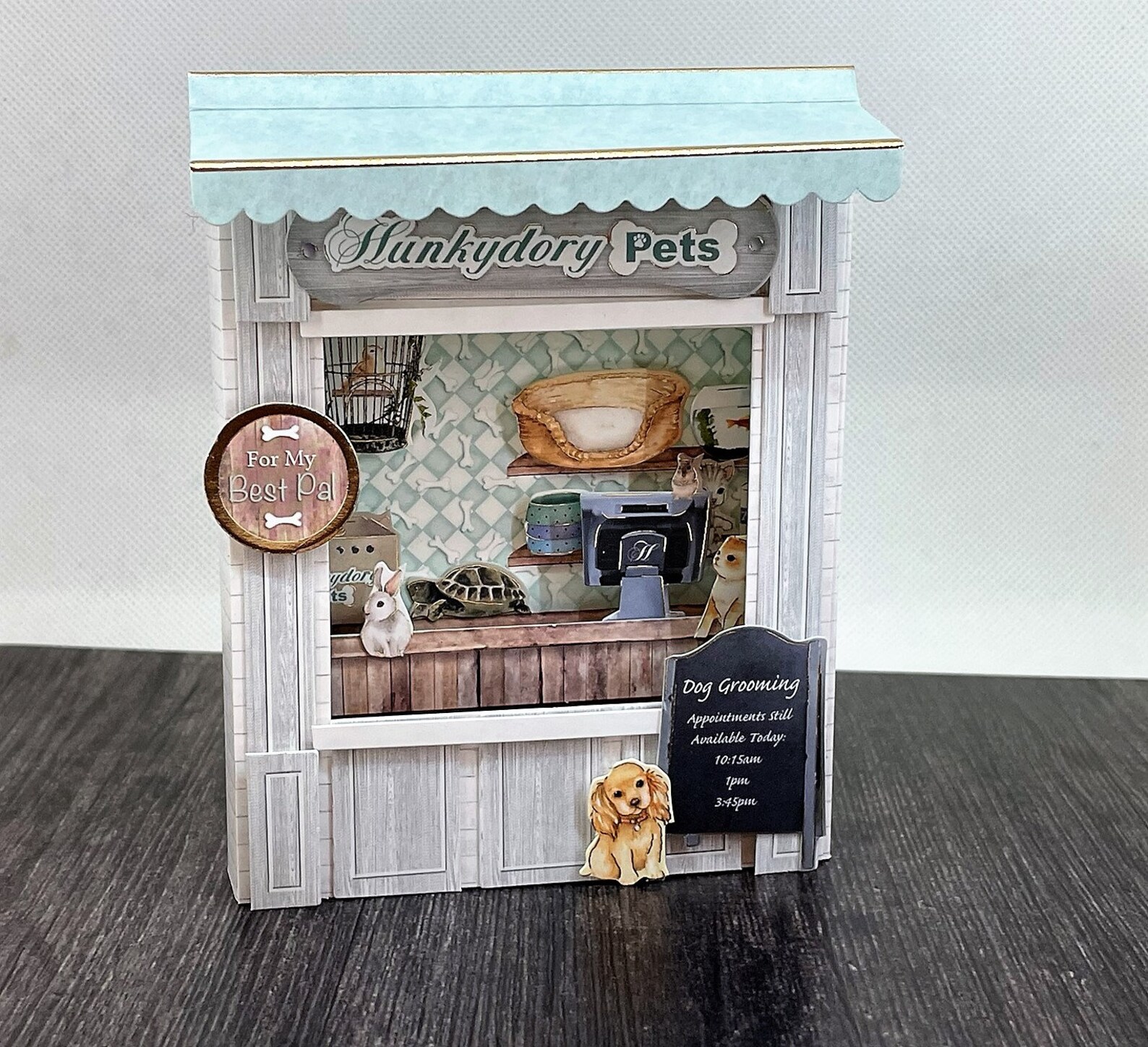 3D Pet Shop Card - Handmade Greetings Card Shaped Like a Pet Shop. Best ...