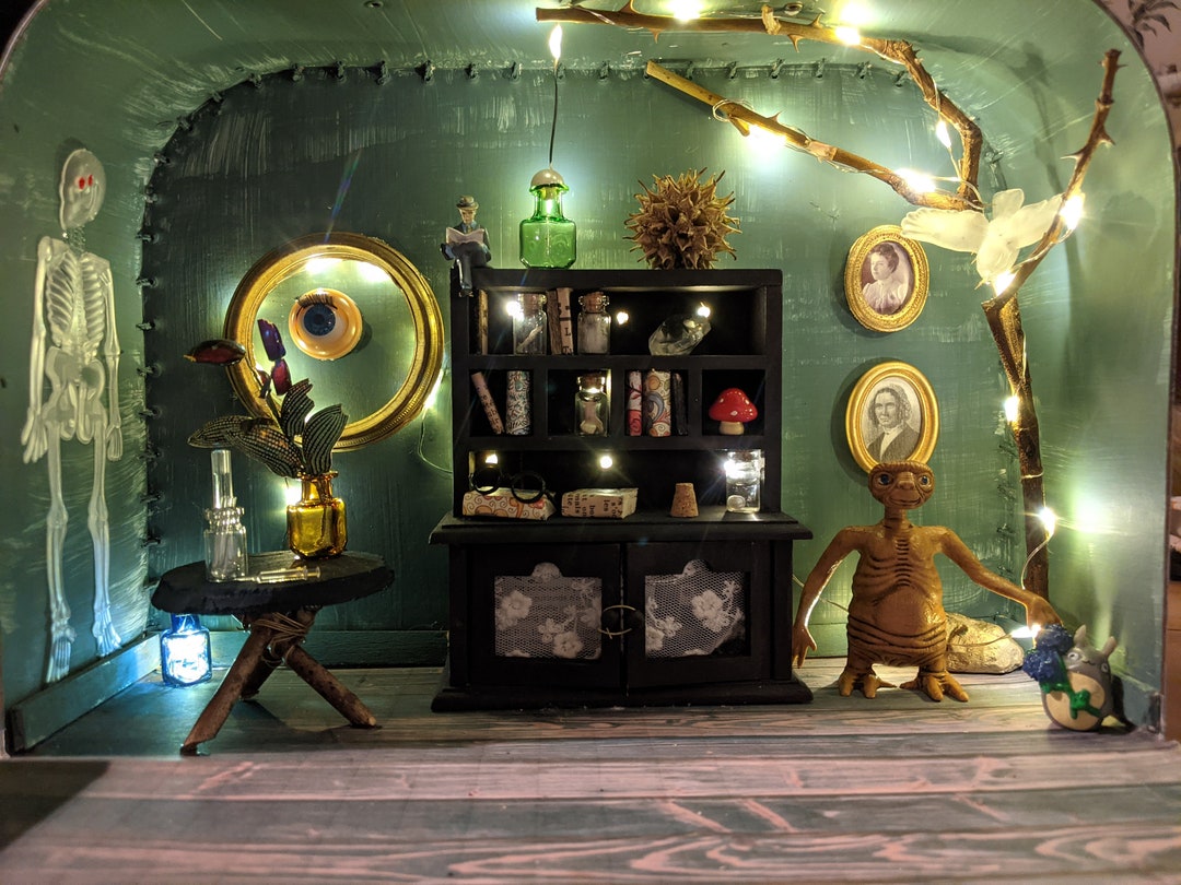 Suitcase Cabinet of Curiosities - Etsy