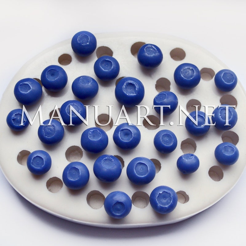 3d Blueberry Silicone Mold - Etsy