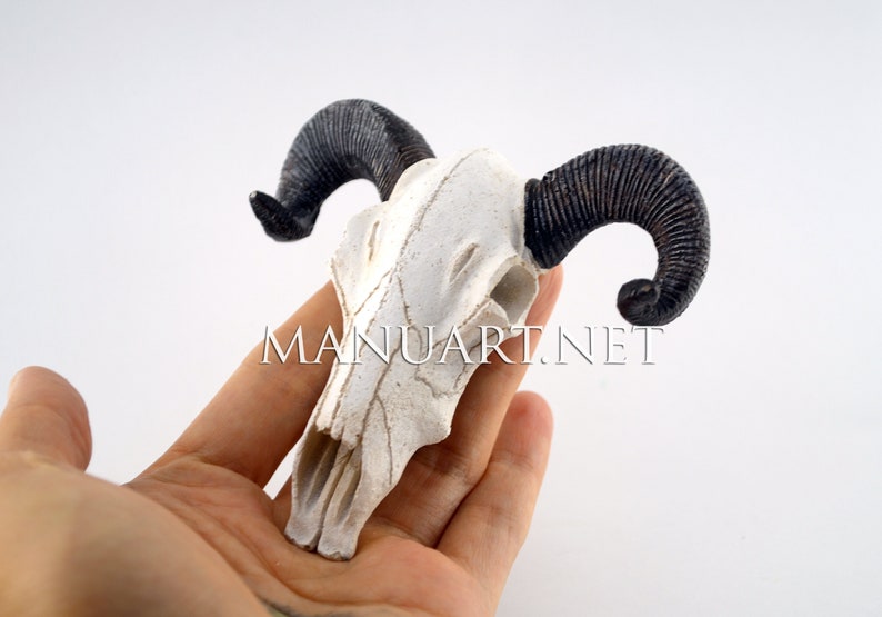 Goat Skull 3D Silicone Mold, Soap Mold, Halloween, Skeleton, Death ...
