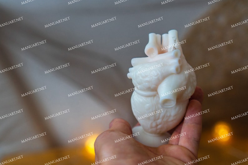 Anatomical Human Heart 3D Silicone Mold Candle Mould Resin - Etsy