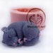 Sleeping Hamster - Buy 3D Cute Animal Silicone Mold for Soap Candle ...
