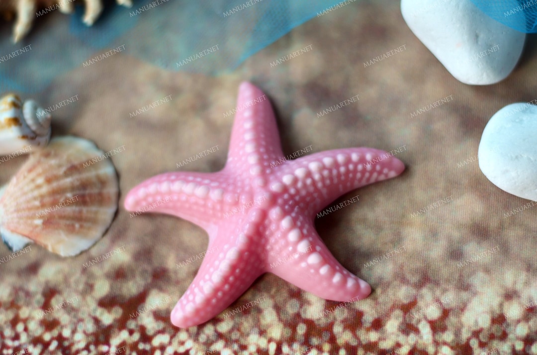 Starfish 3D Silicone Mold, Soap Mold, Sea Mold, Star Mold, Pearl Mold ...