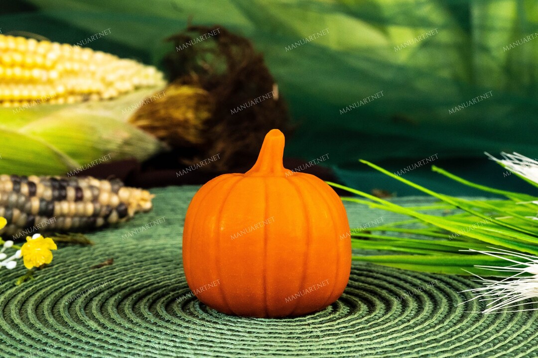 Pumpkin FOOD SAFE 3D Silicone Mold, Candle, Soap Mould, Plaster, Autumn ...