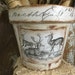 NATURAL HISTORY 1800's Deer Stag Plant Garden Flower Pot Potting Shed ...