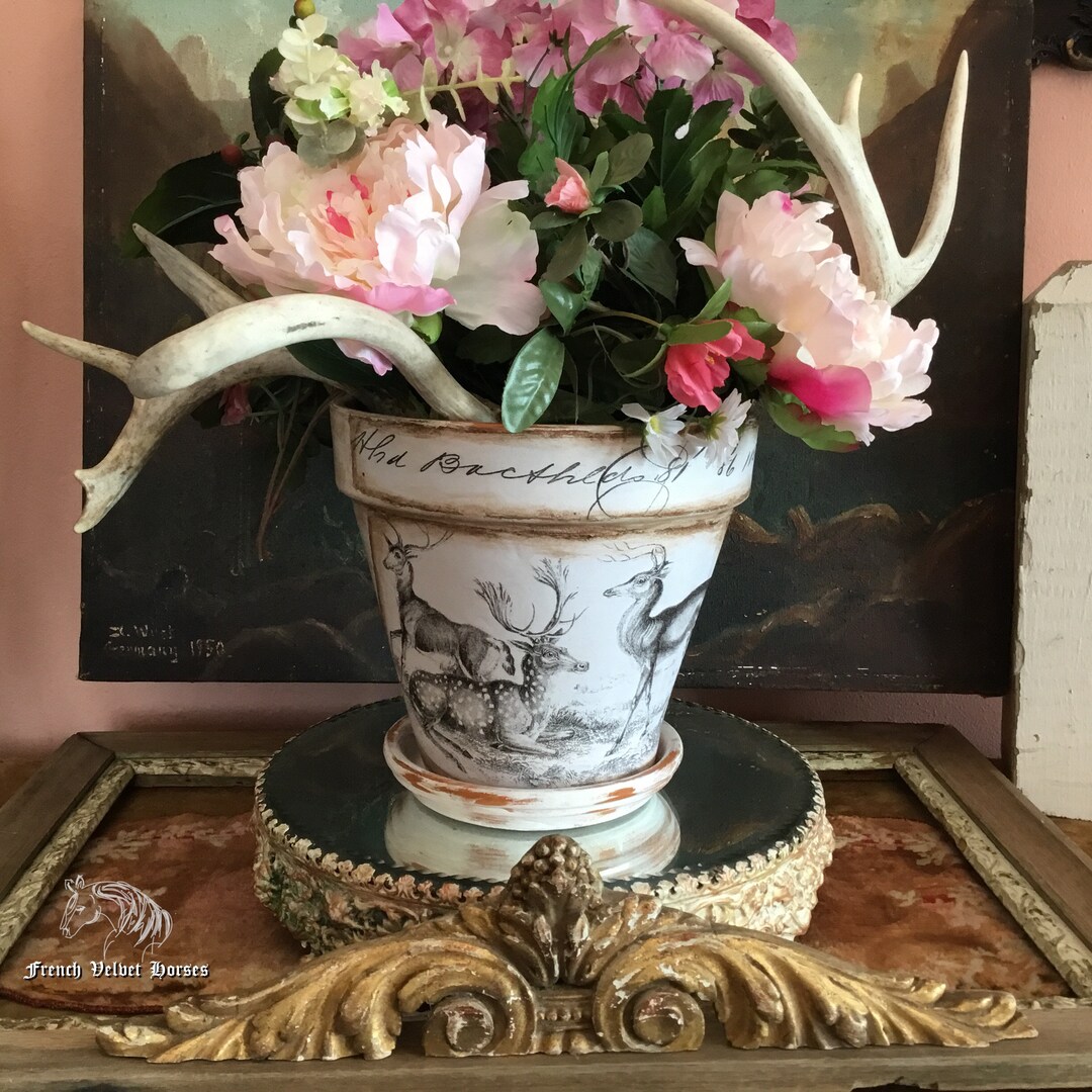 NATURAL HISTORY 1800's Deer Stag Plant Garden Flower Pot Potting Shed ...