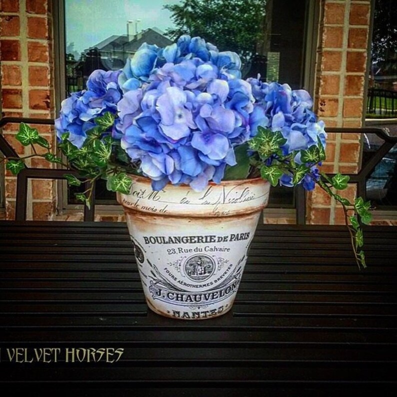 BOULANGERIE DE PARIS French Document Paris Plant Flower Pot Antique ...