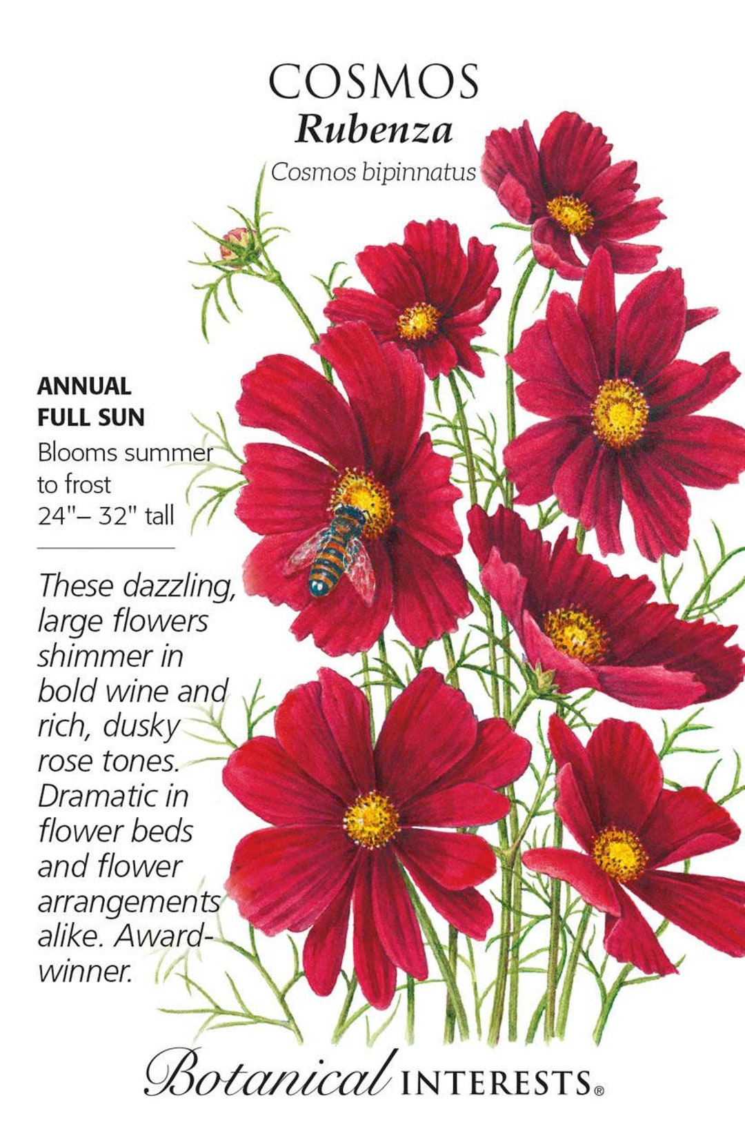 Rubenza Cosmos Seeds 300 Milligrams Botanical Interests - Etsy