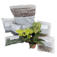 DIY Terrarium Instructions - Etsy