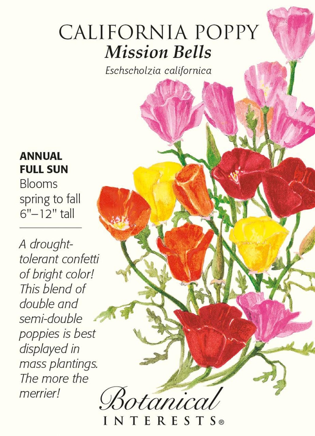 Mission Bells California Poppy Seeds 1 Gram - Etsy