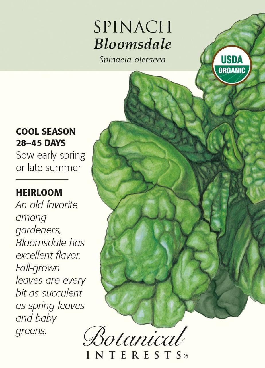 Spinach Infographic
