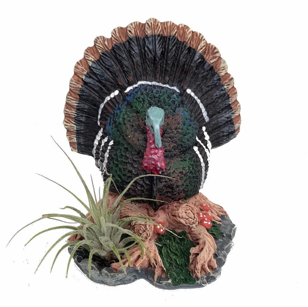 Gobbler Thanksgiving Tom Turkey Planter Plus Live Air Plant ...