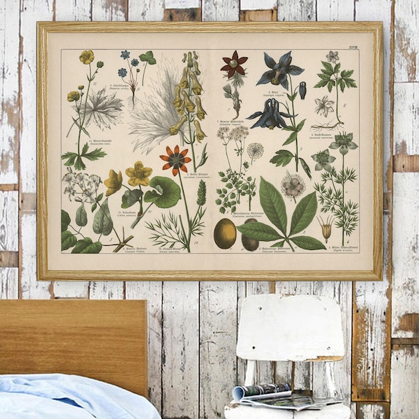 Large Botanical Prints - Etsy