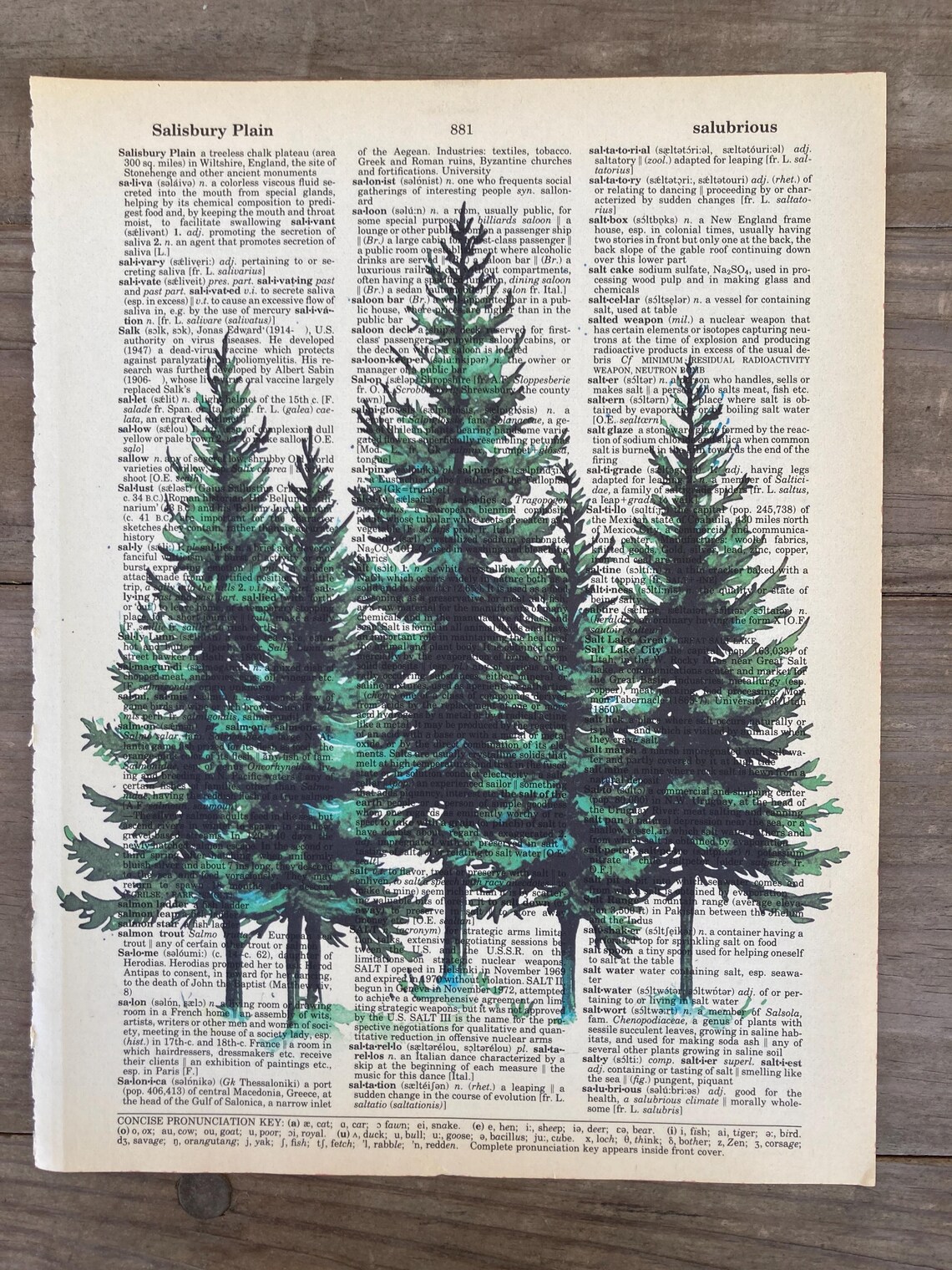 Pine Trees Themed Dictionary Print, Pine Trees, 5-piece Set, Green Tree ...