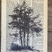 Tree Drawing Themed Dictionary Prints - 6 Piece Set - Antique Sketch ...