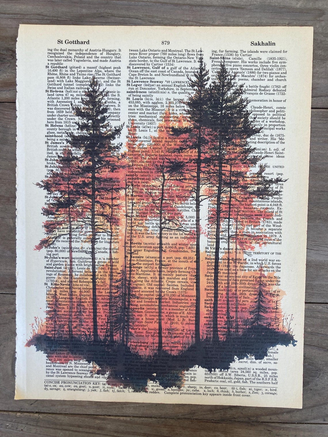 Pine Trees Themed Dictionary Print, Pine Trees, 5-piece Set, Green Tree ...