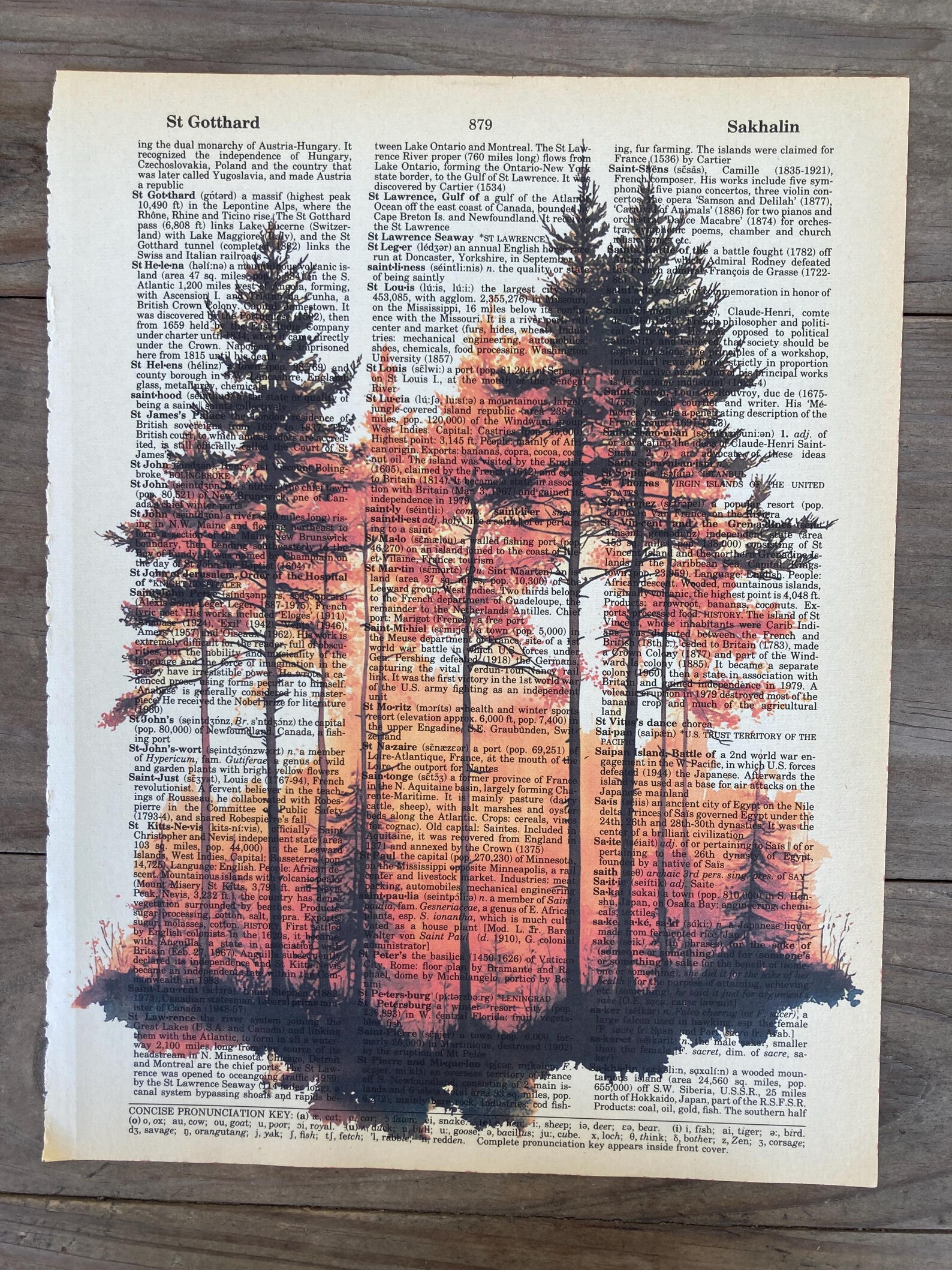 Pine Trees Themed Dictionary Print, Pine Trees, 5-piece Set, Green Tree ...