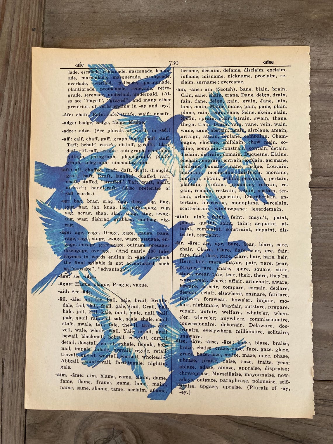 Blue Bird Themed Dictionary Prints - 4 Piece Set Watercolor Bird Print ...
