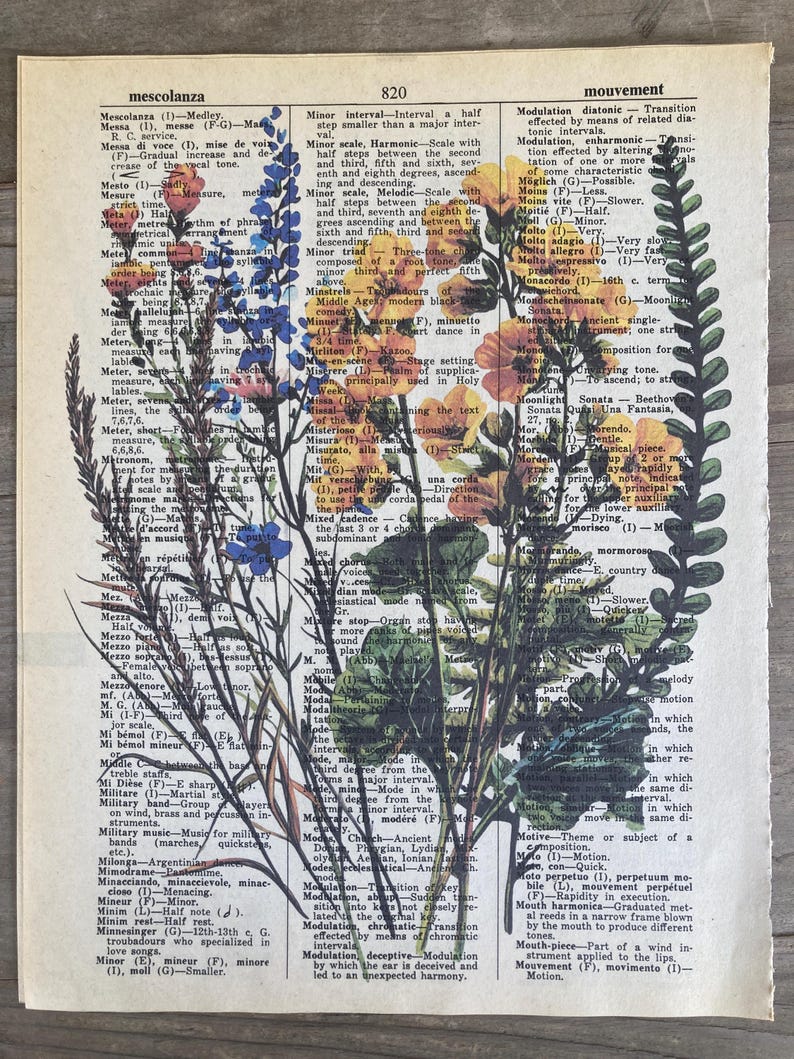 Wild Flowers Themed Dictionary Print Set - Floral Dictionary Art ...