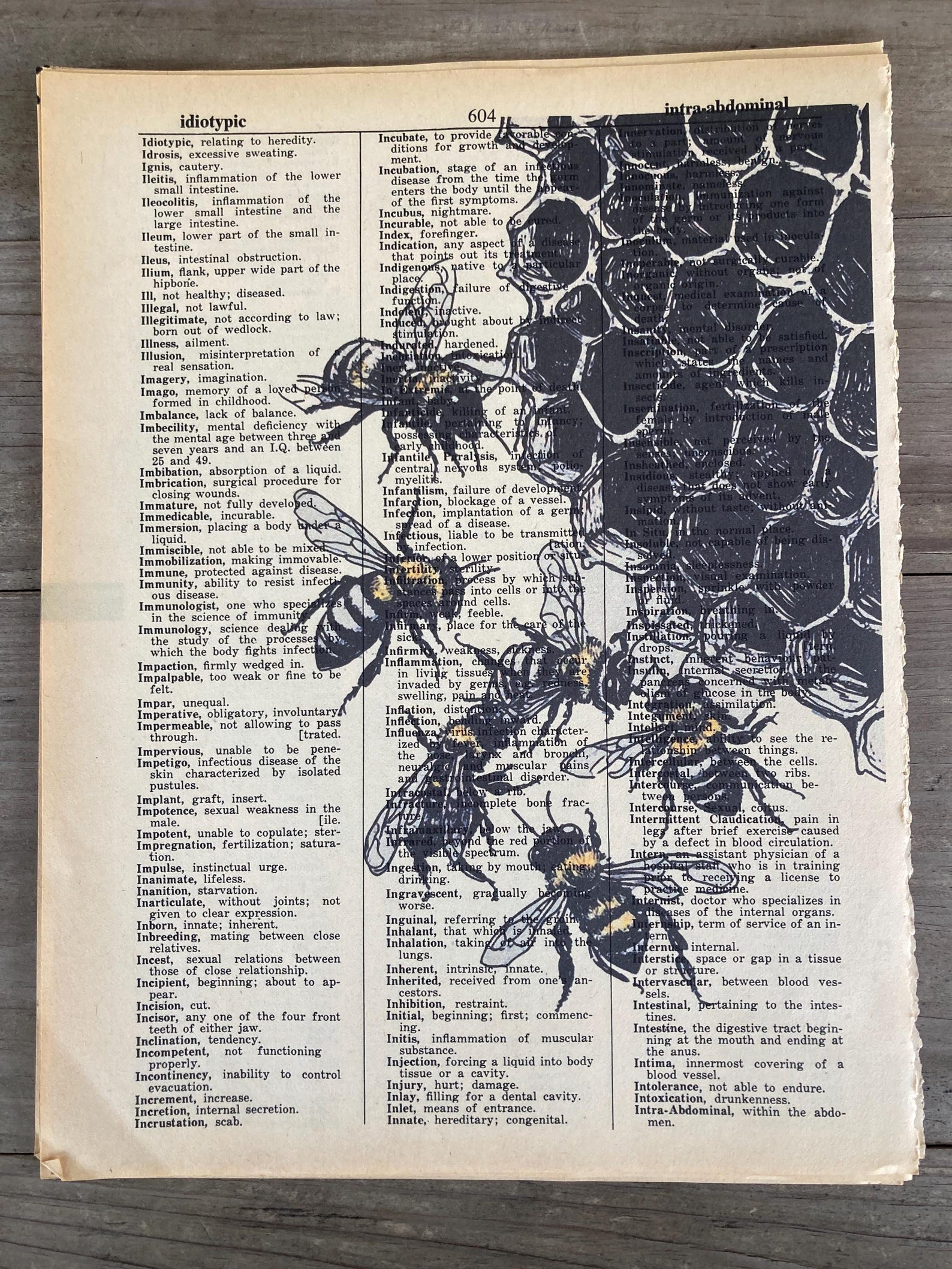 Bee Themed Dictionary Print Set - Bee & Beehive, - Rustic Honeybee ...