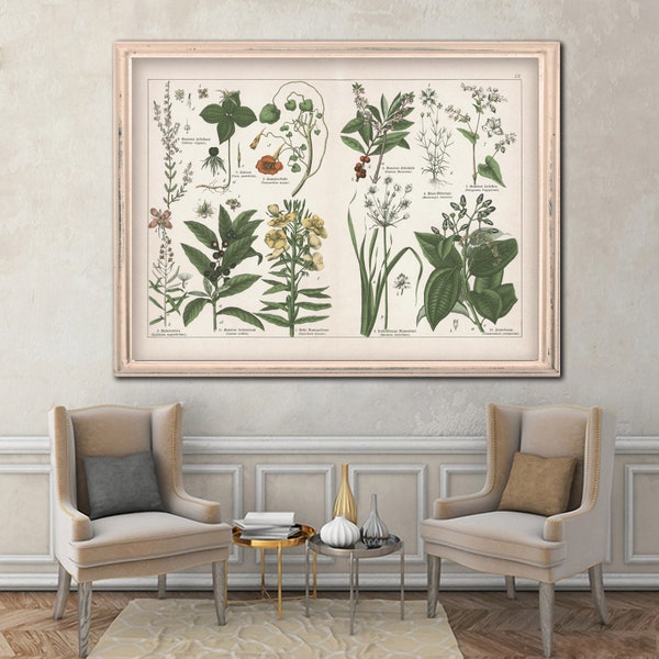 Botanical Plates - Etsy