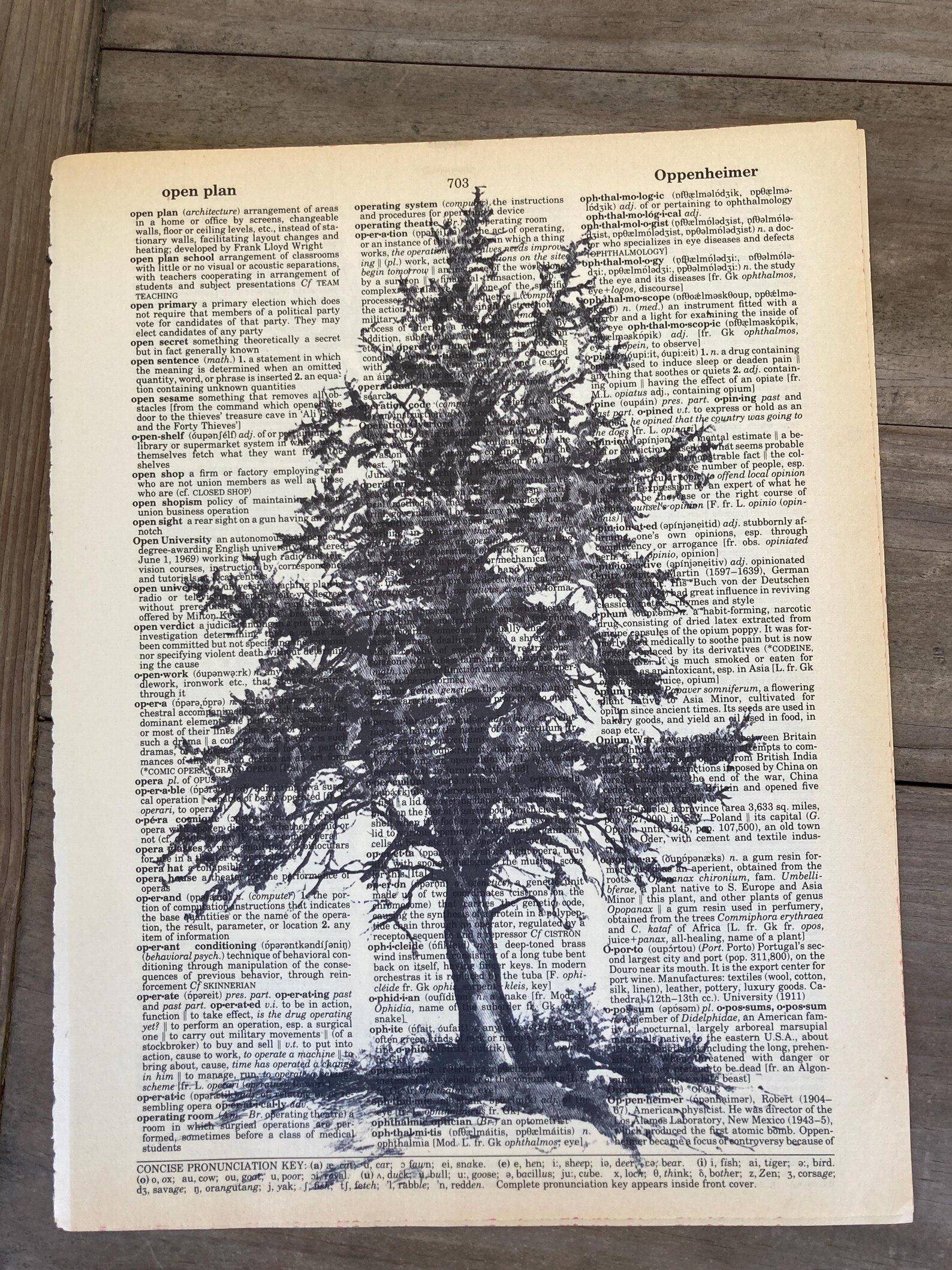 Tree Drawing Themed Dictionary Prints - 6 Piece Set - Antique Sketch ...