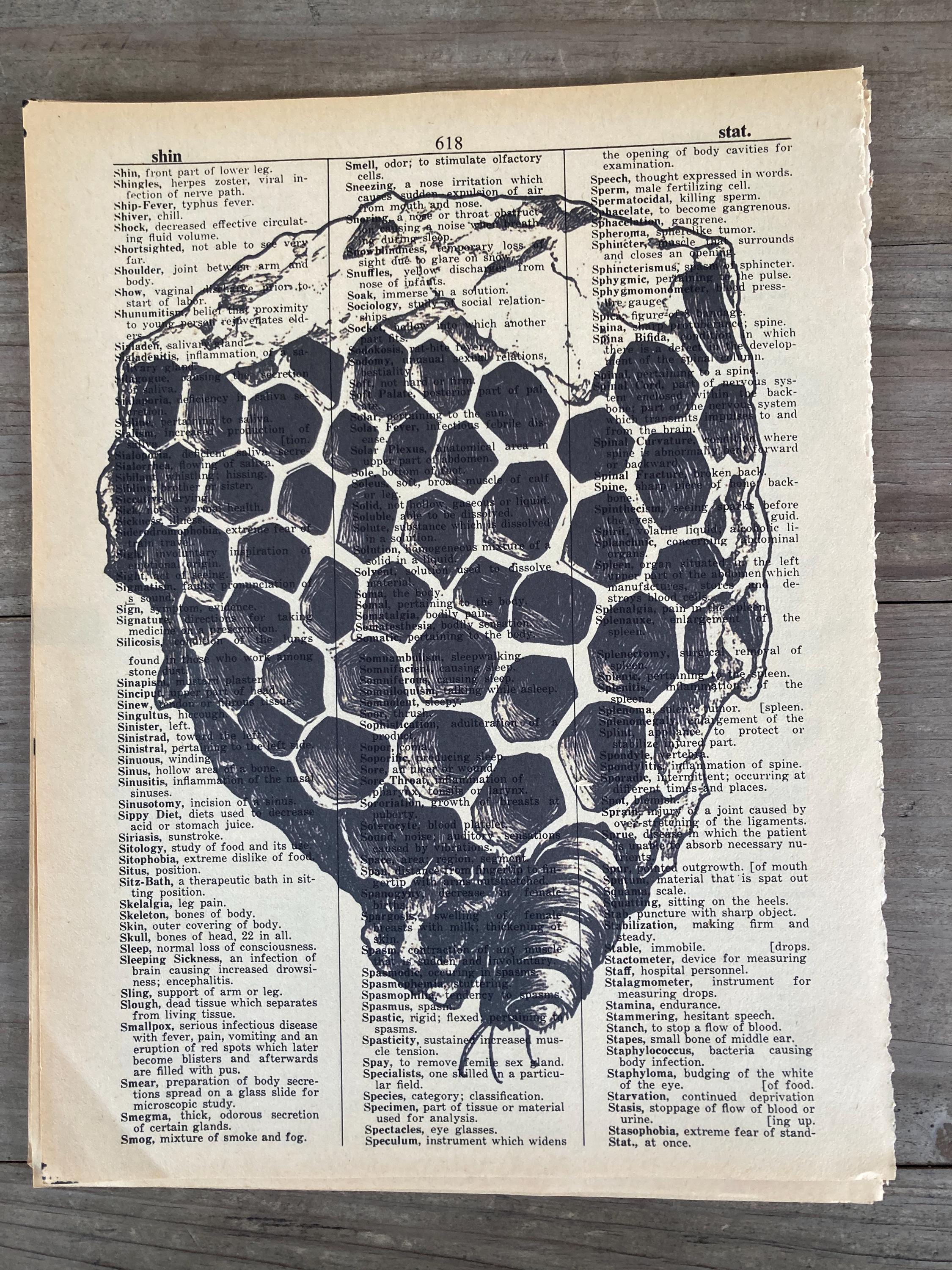 Bee Themed Dictionary Print Set - Bee & Beehive, - Rustic Honeybee ...