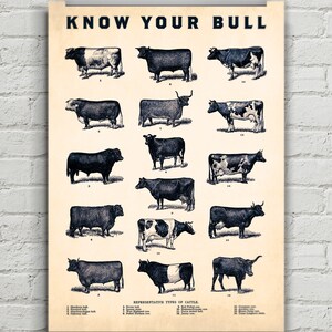 Know Your Bull 1919 Dictionary Plate Print 2 Sizes: 16x20 and 18x24 ...