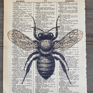 Bee Themed Dictionary Print Set - Bee & Beehive, - Rustic Honeybee ...