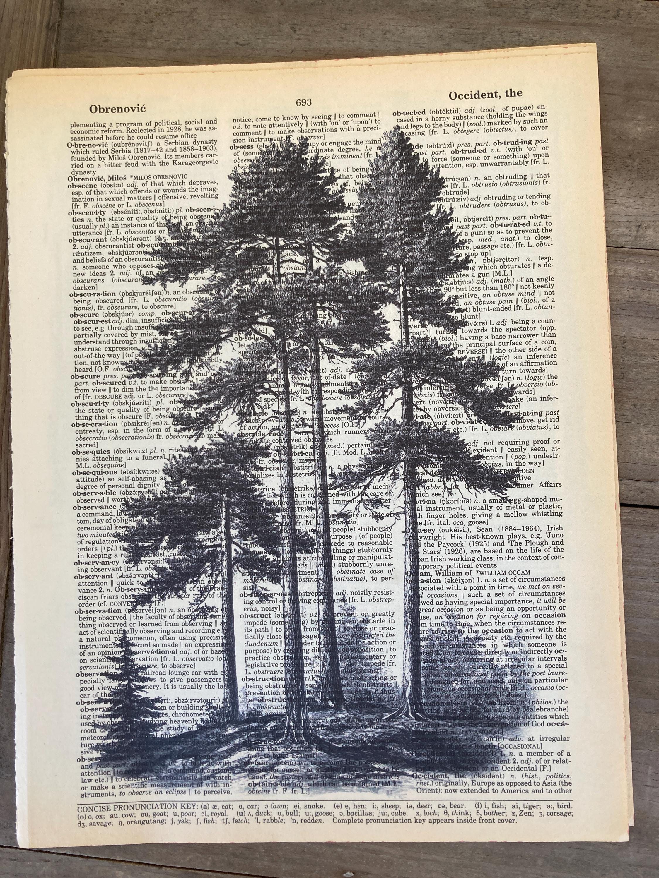 Tree Drawing Themed Dictionary Prints - 6 Piece Set - Antique Sketch ...