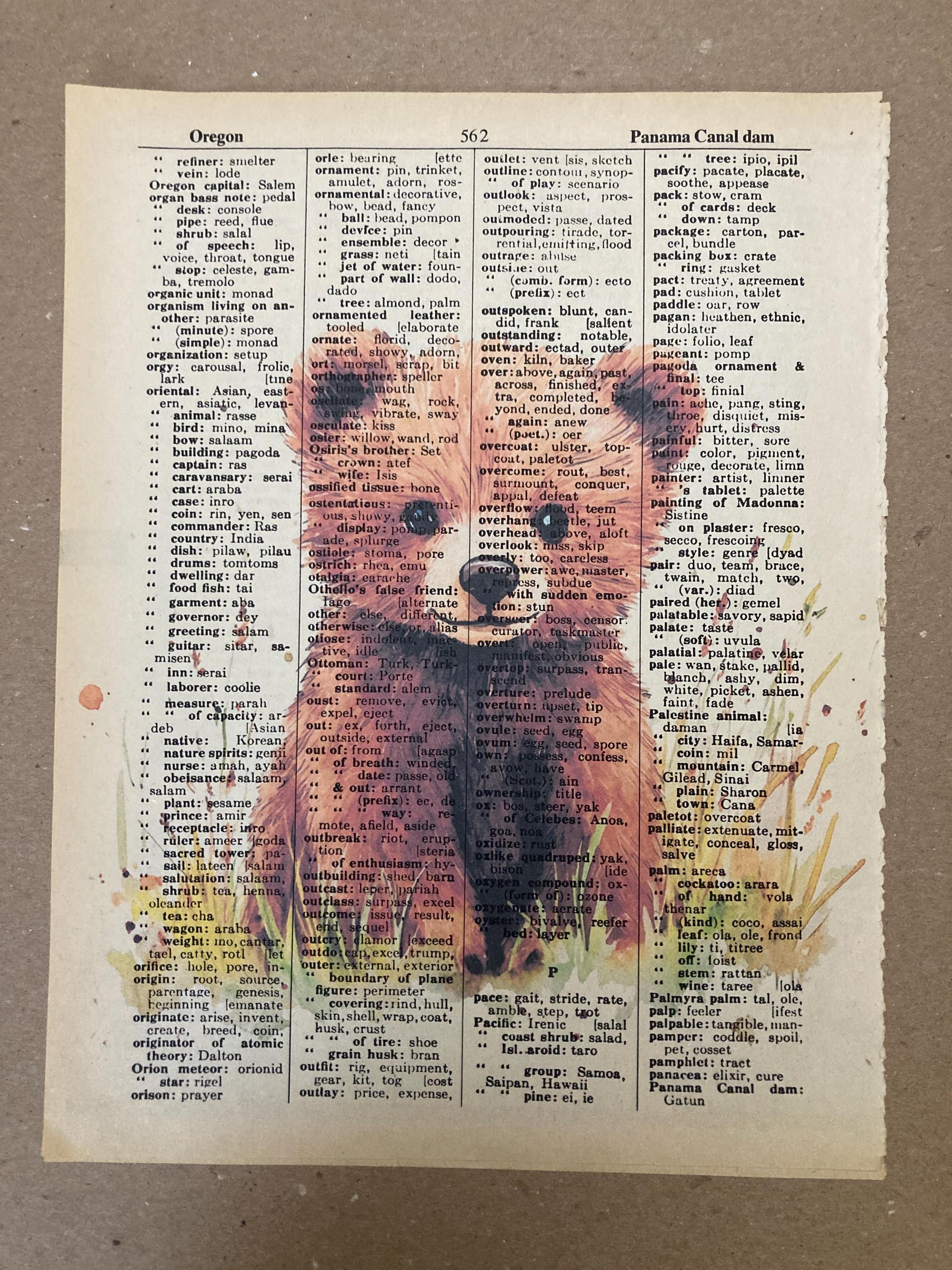 Woodland Baby Animal Themed Dictionary Prints, 6-piece Set, Dictionary ...