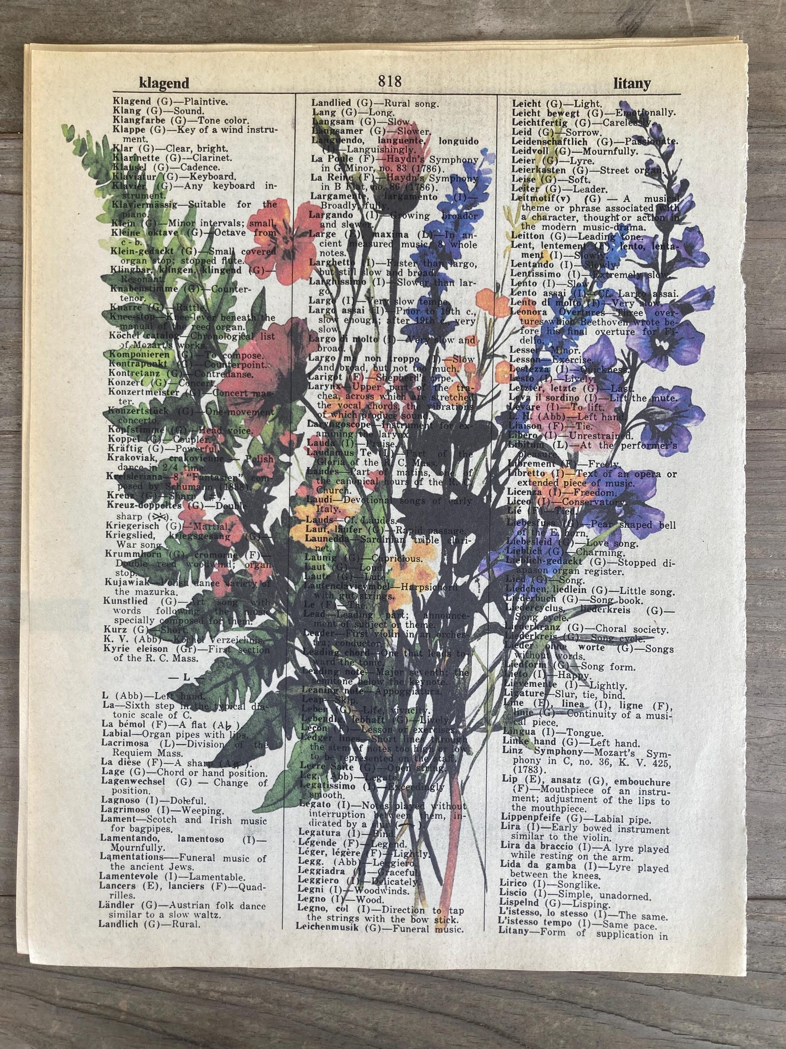 Wild Flowers Themed Dictionary Print Set - Floral Dictionary Art ...