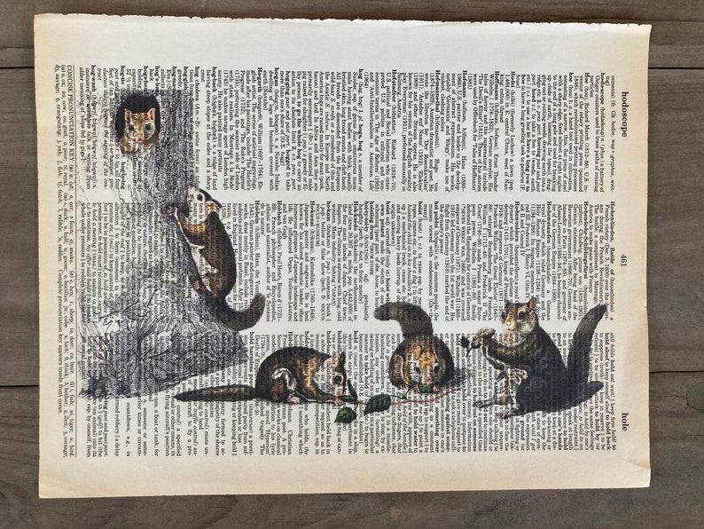 Wild Animal Family Themed Dictionary Print Set #6 - 6-piece Set - Wild ...
