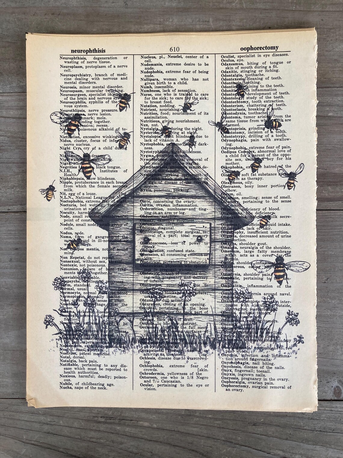Bee Themed Dictionary Print Set - Bee & Beehive, - Rustic Honeybee ...