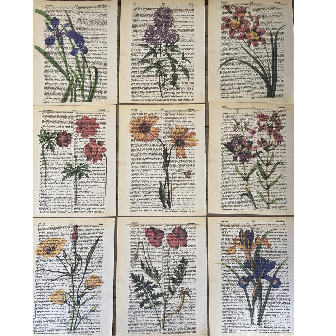 Wild Flowers Themed Dictionary Print Set - 9-piece Set - Wild Flowers ...